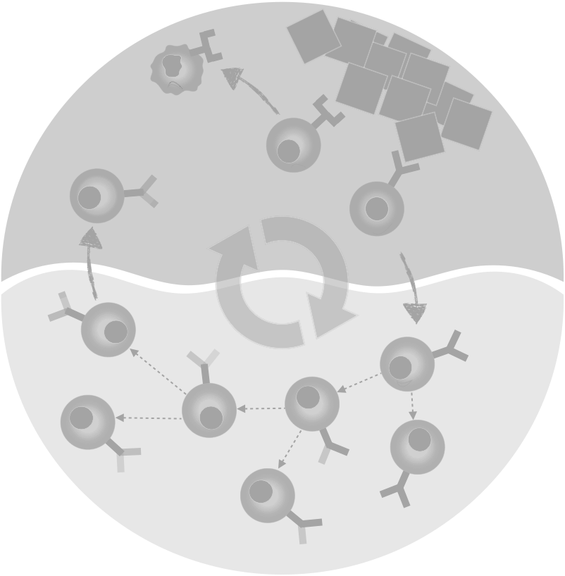 Gcdyn Documentation — Gcdyn Documentation 6895